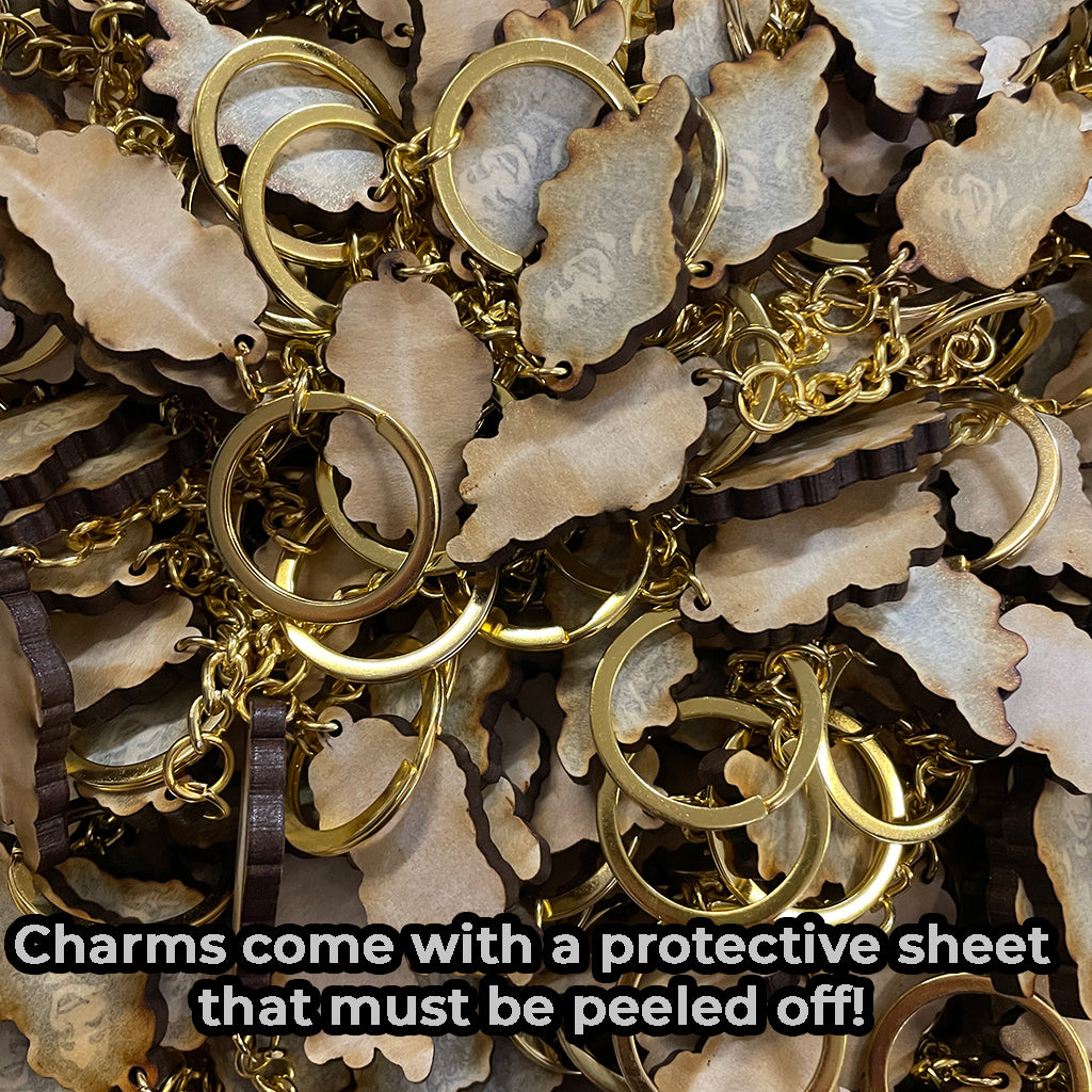 Scarlet Hollow Tabitha and Stella Charms - Funded and Shipped! – TopatoGO